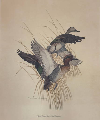 Charles E. Murphy (1933 2005) "green Winged Teal"