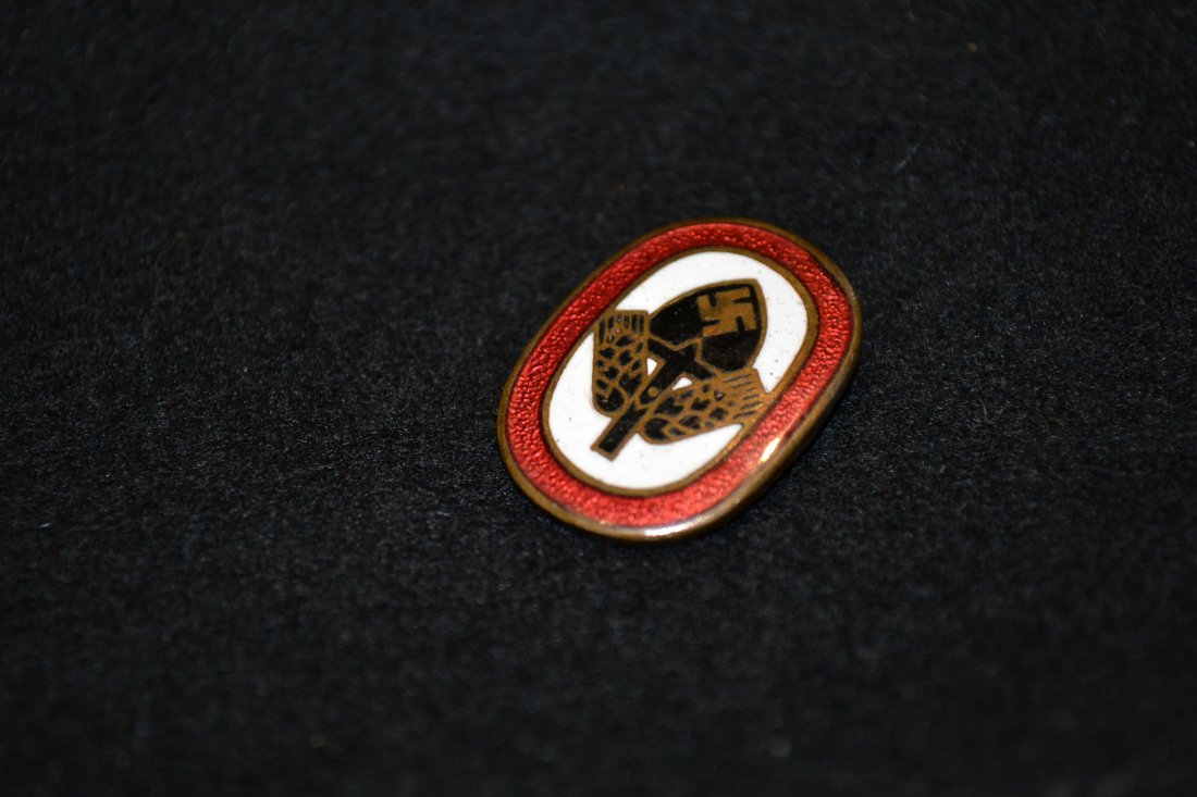Wwii German Nazi Rad Enamel Pin