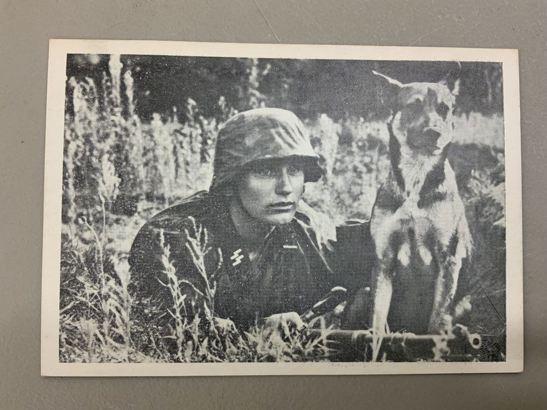 Wwii Nazi Germany Waffen Ss Postcard