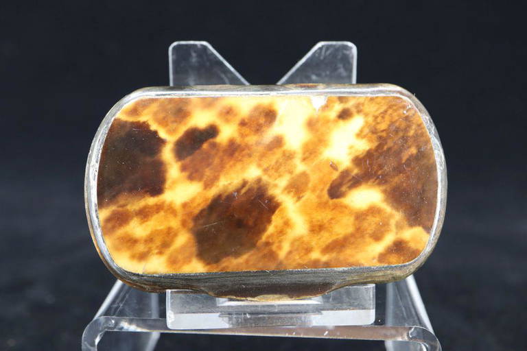 Enamel Painted Porcelain Snuff Box, Tortoise Shell, 2.75"l, Some Loss ...