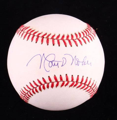 Matt Nokes New York Yankees Signed Auction
