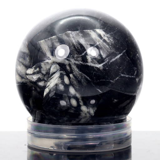 280grams Collection Of Black Coral Fossil Stone Specimen