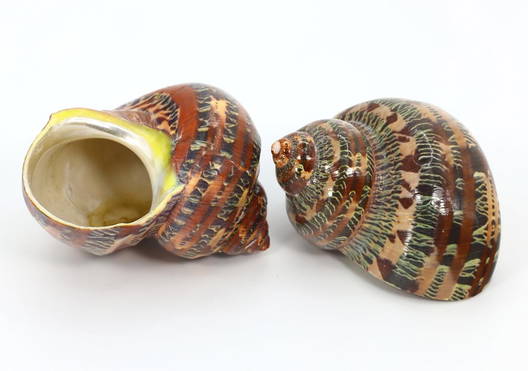 Collectible Rocks, Minerals & Fossils for Sale in Online Auctions