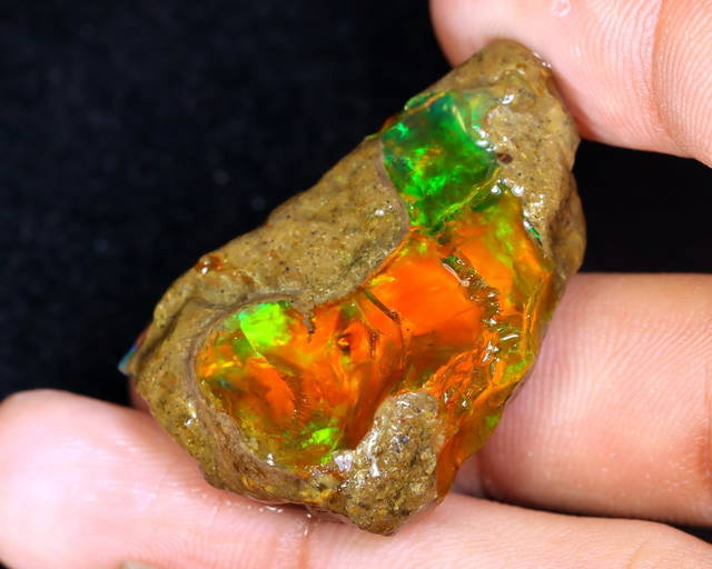 62.5ct Treasure Amidst Turmoil: Pristine Delanta Opal Rough