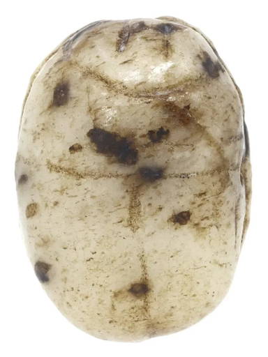 An Ancient Egyptian Harbinger Of Renewal Scarab Amulet