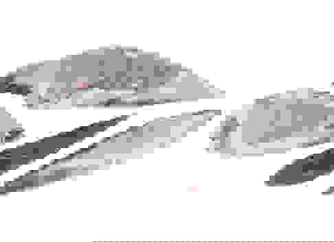 Collection Of Neolithic Sahara Flint Arrowhead Collection, C. 10,000 ...