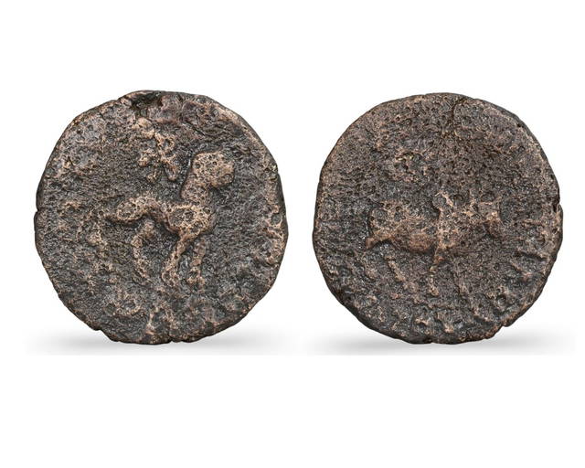 Ancient Indo Scythian Bronze 6 Chalkon Coin Of Azes, Zebu Bull & Lion ...