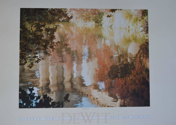 Deborah Dewitt "palace Of Fine Arts"