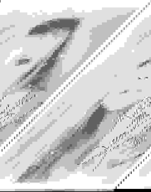 Kim Basinger Signed 8 X 10 Photograph Auction