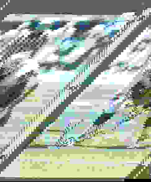 Keith Sims - Signed 8 X 10 Photograph W/coa Auction