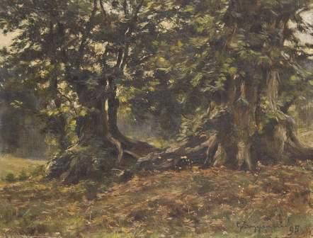 Guido Boggiani (1861 1902) Alberi Nel Bosco