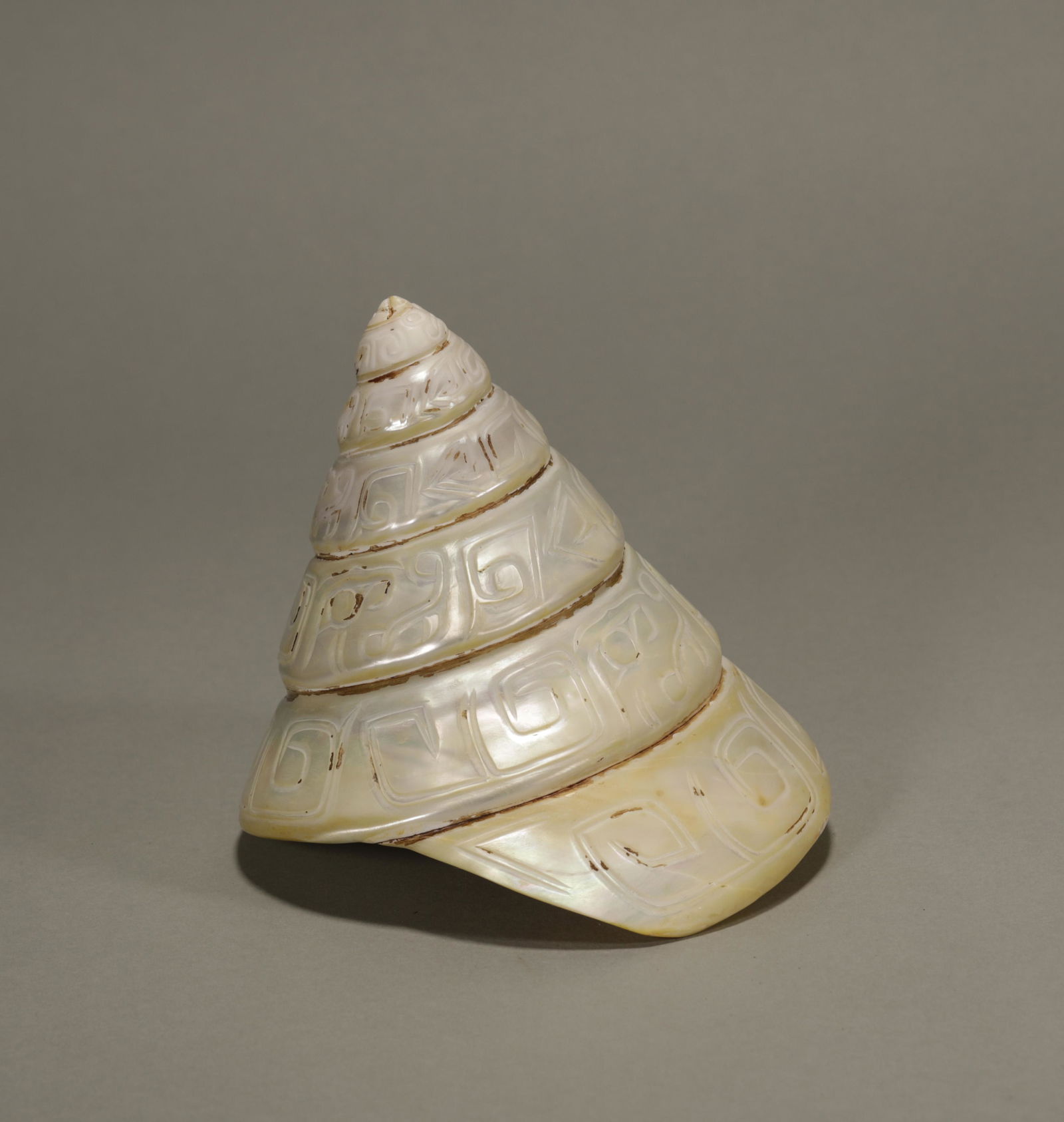 Ancient Chinese Conch