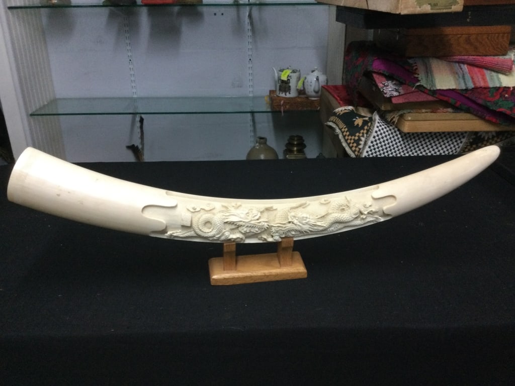 Carved Tooth Auction