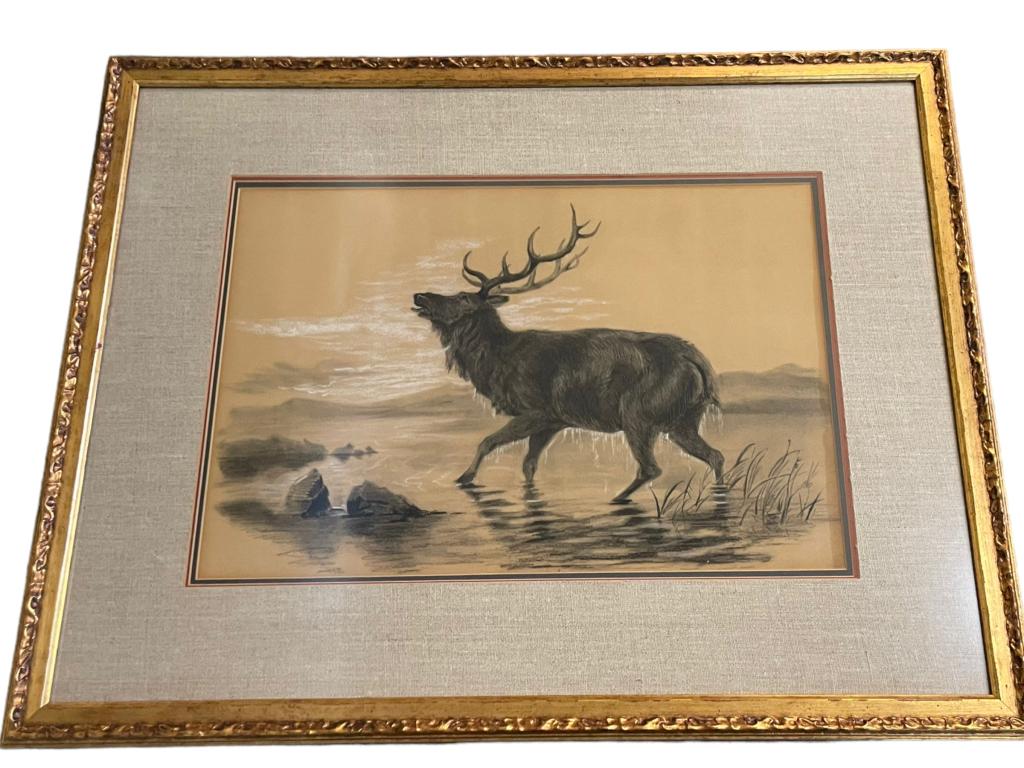 Charcoal and Chalk Drawing of Bugling Elk - Mar 13, 2023 | Broken Arch ...