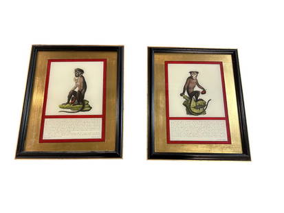 Jacob, Nicolas Henri: Porträt Des Malers Jacques