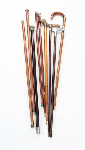 Nine Walking Sticks And Gadget Canes.