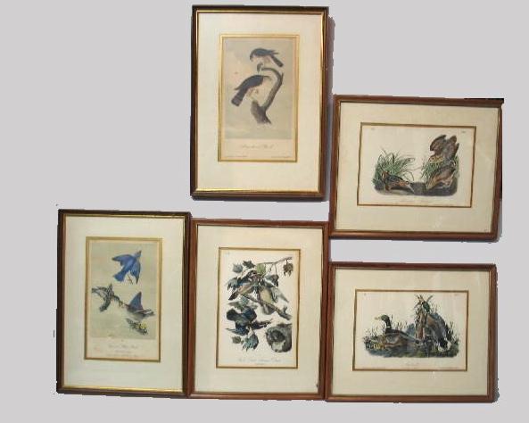 236: FIVE HANDCOLORED "AUDUBON" PRINTS. Octavo folio li