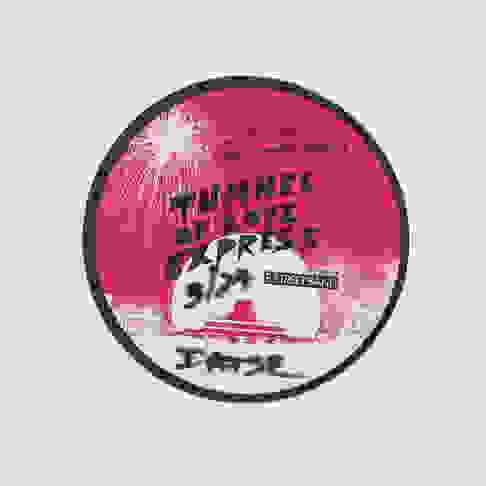 1988 Bruce Springsteen Tunnel Of Love Express Tour Backstage Pass Auction