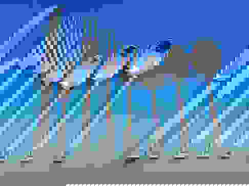 Neptune By John Petterson Sterling Silver Flatware Set Service 50pcs ...