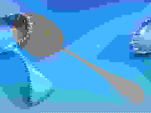 Brite-cut By A. Stowell & Co. Baltimore Sterling Berry Spoon Gold ...