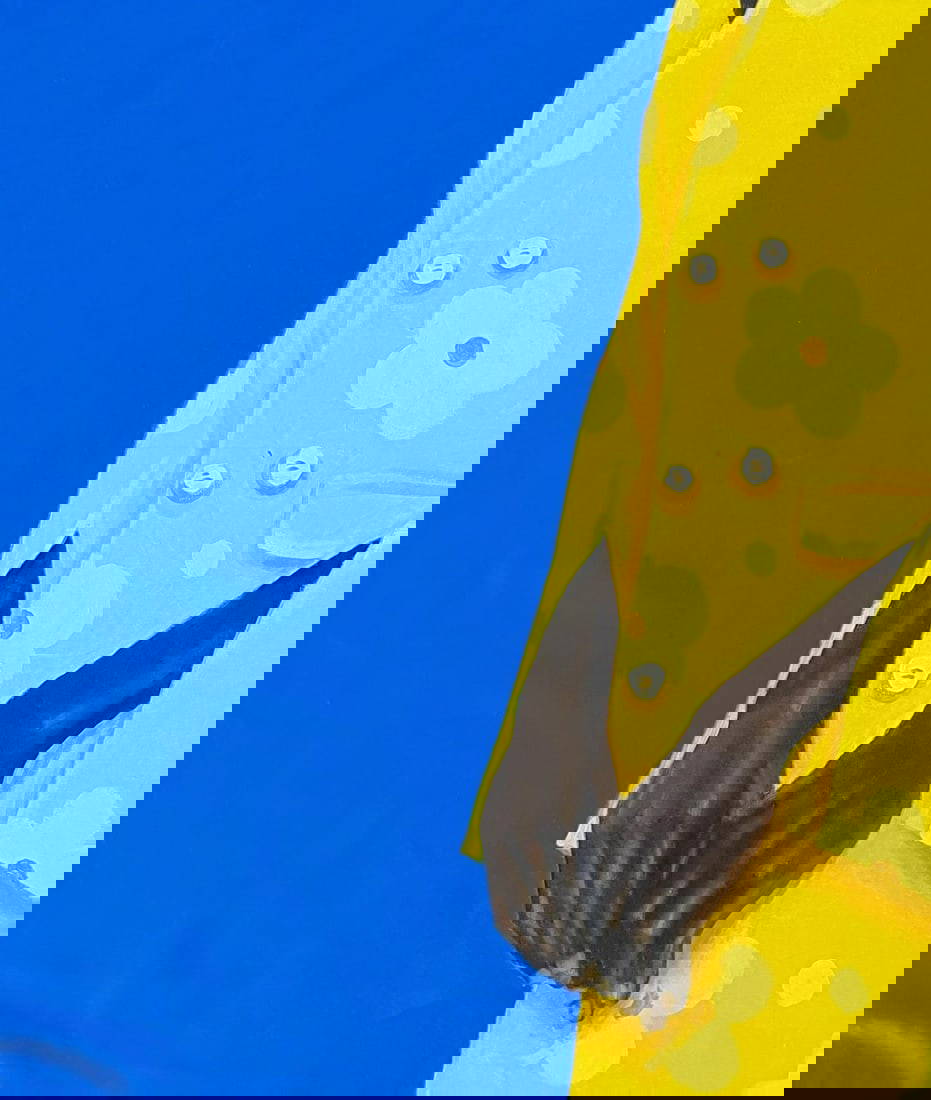 Busari Adewaledamsel2023 Auction