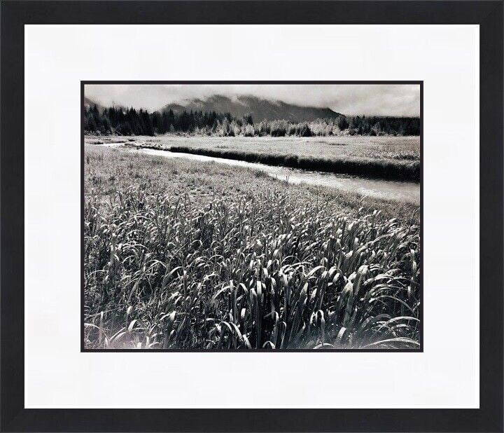 Ansel Adams Rain Beartrack Cove Glacer Bay Park Ak Custom Framed Print ...