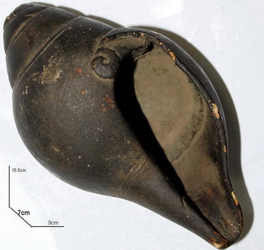 Conch Artifact