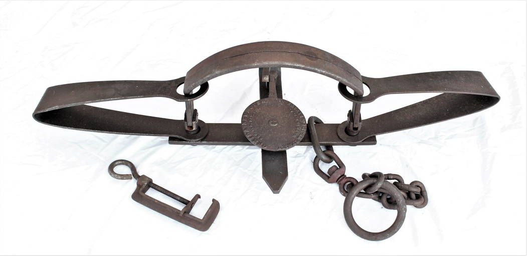 Newhouse #6 Bear Trap