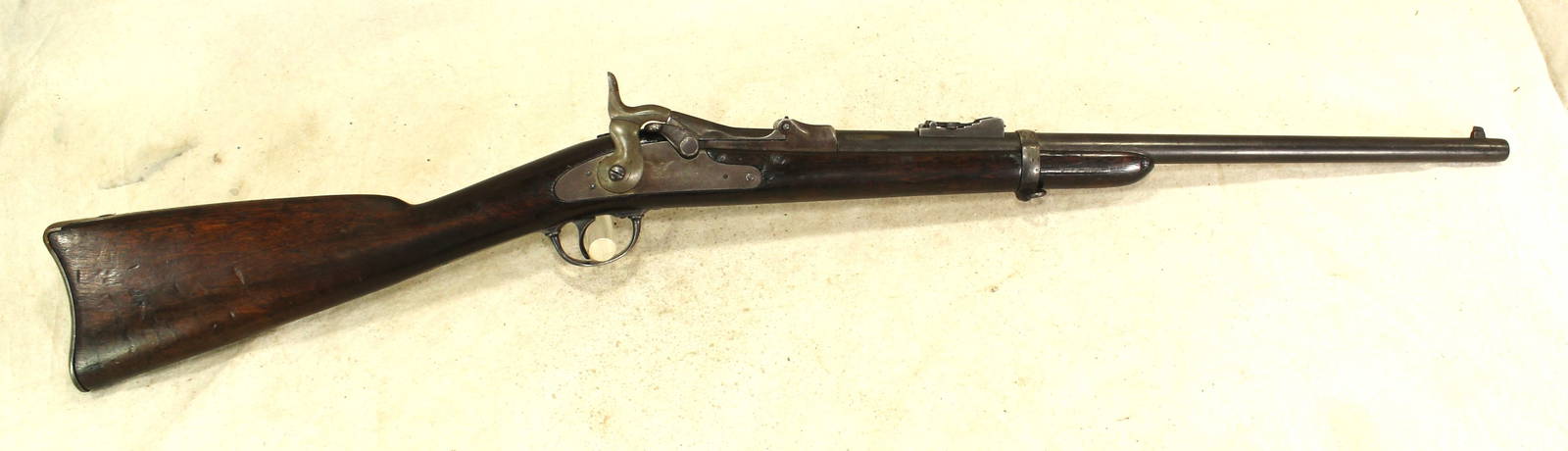Custer Range Springfield 1873 Carbine Auction