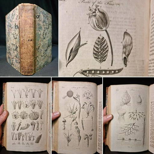 1797 BOTANY PLATES Flowers FRUIT 12 Engraved Plates (#0261) on Jan 13 ...