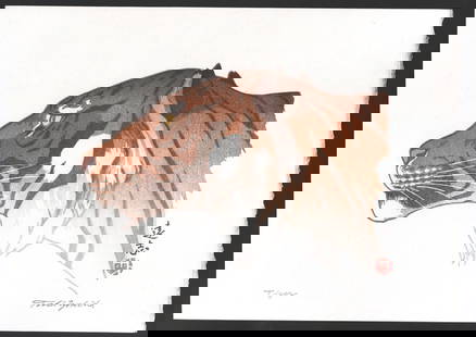 Toshi Yoshida Tiger Nr