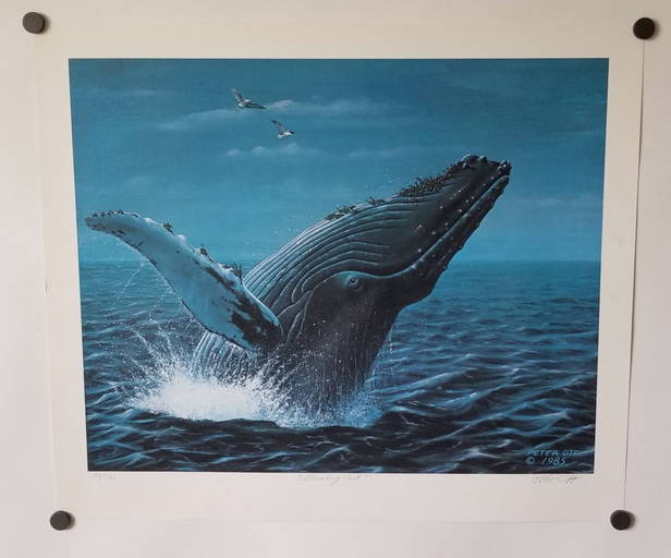 Signed & Numbered Peter Ott Print Breaking Out