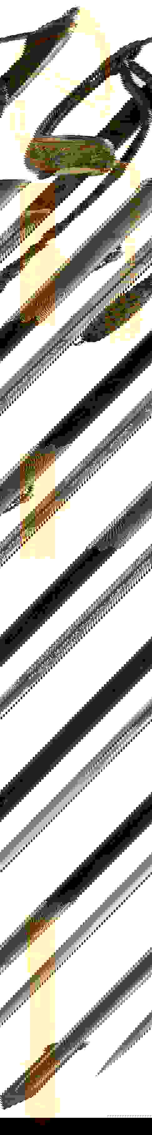 A Scarce Royal Naval Master At Arms Sword, Auction