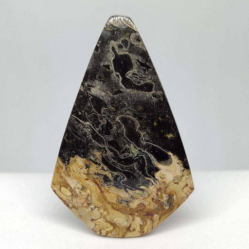 52.30 Ct Natural Palm Root Fossil