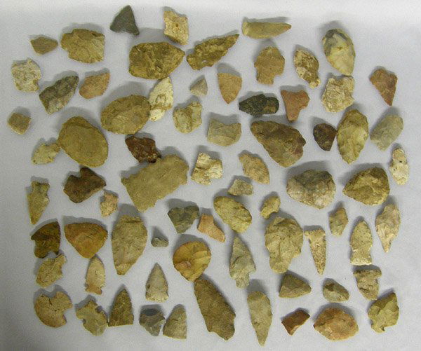 Collection of New Mexico Stone Arrowheads
