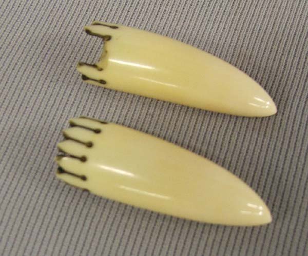 Pr Alaskan Ivory Teeth