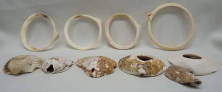 Prehistoric Hohokam Shell Bracelets - May 21, 2014 | Artemis Gallery in CO