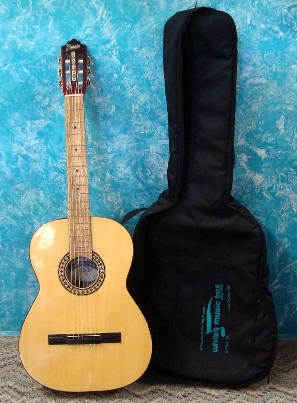 Acoustic Guitarras Paracho Guitar