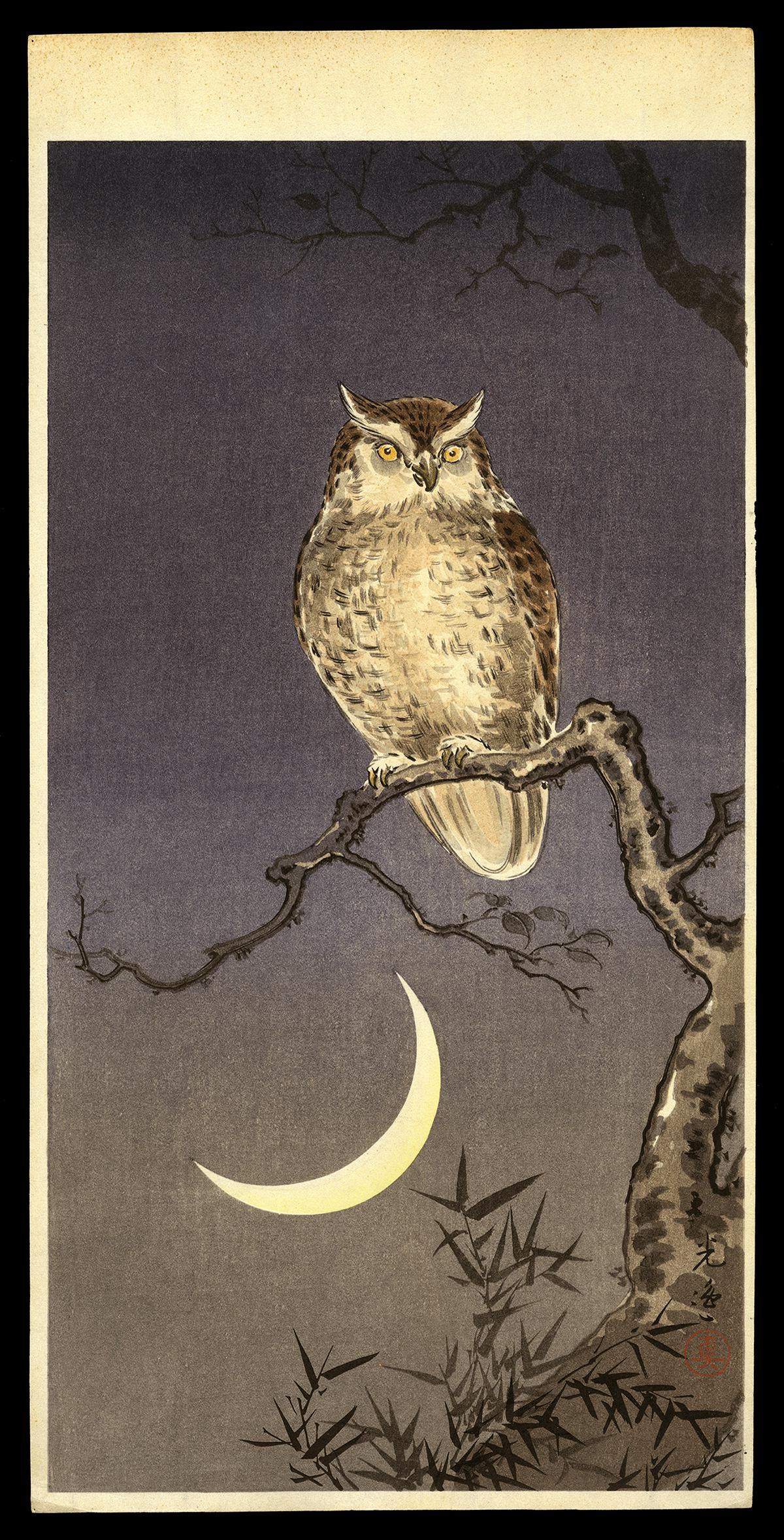 Tsuchiya Koitsu Woodblock Owl