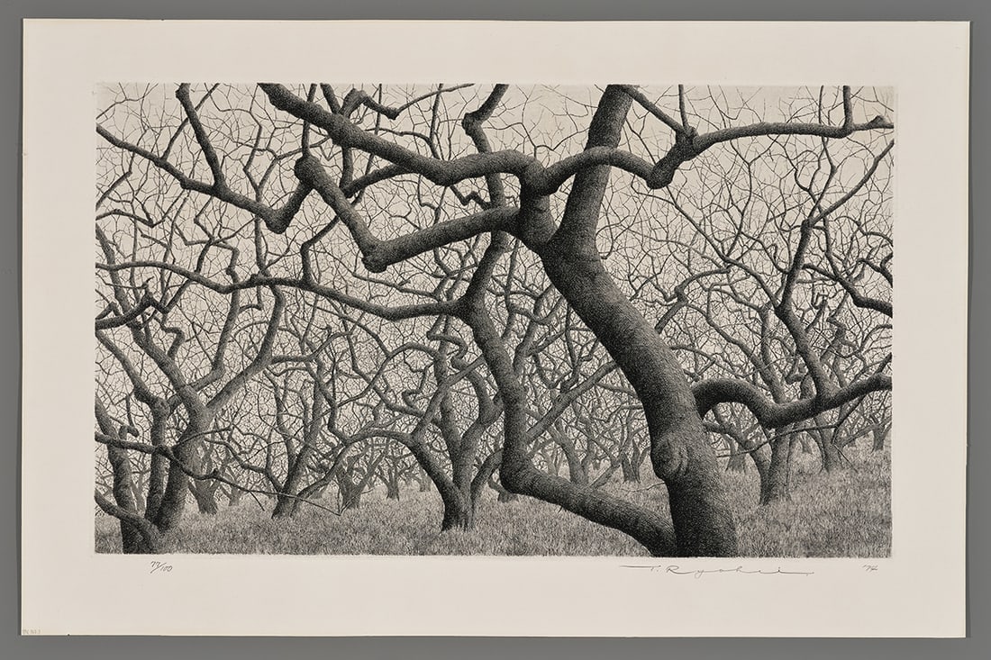 Ryohei Tanaka Etching - Tree No. 3 Auction
