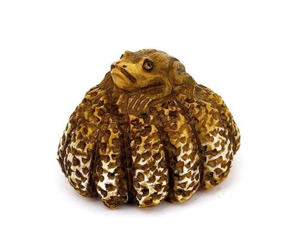 Japanese Ivory Netsuke Frog & Pumpkin