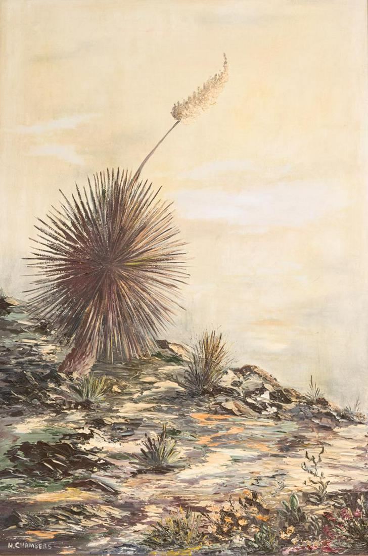 Helen Chambers, Yucca Bloom