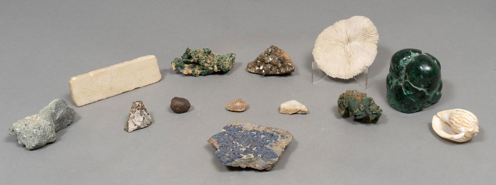 Collection Of (13) Mineral And Marine Specimens