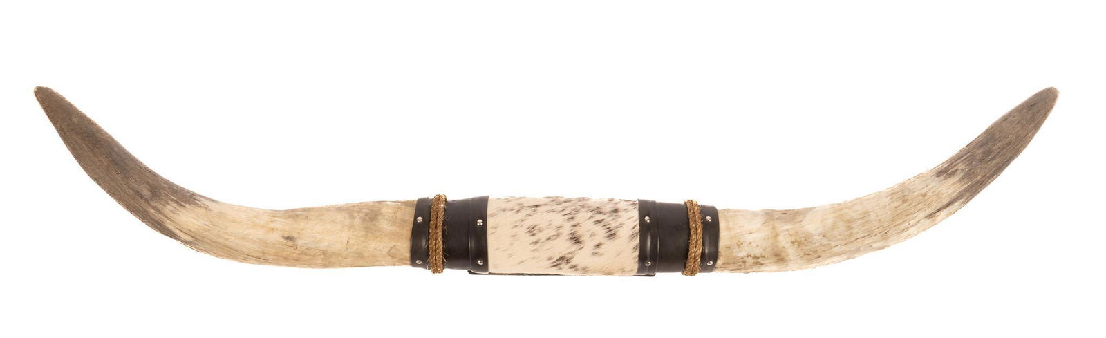 Steer Horn Display - Feb 25, 2023 | Vogt Auction Texas in TX