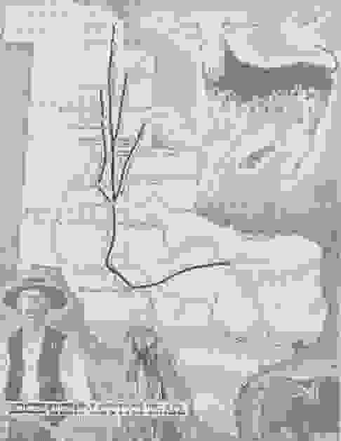 Jose Cisneros, "the Goodnight-loving Trail" Auction