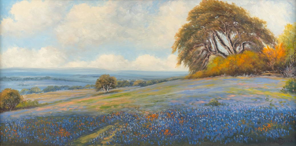 Pedro Lazcano Bluebonnets