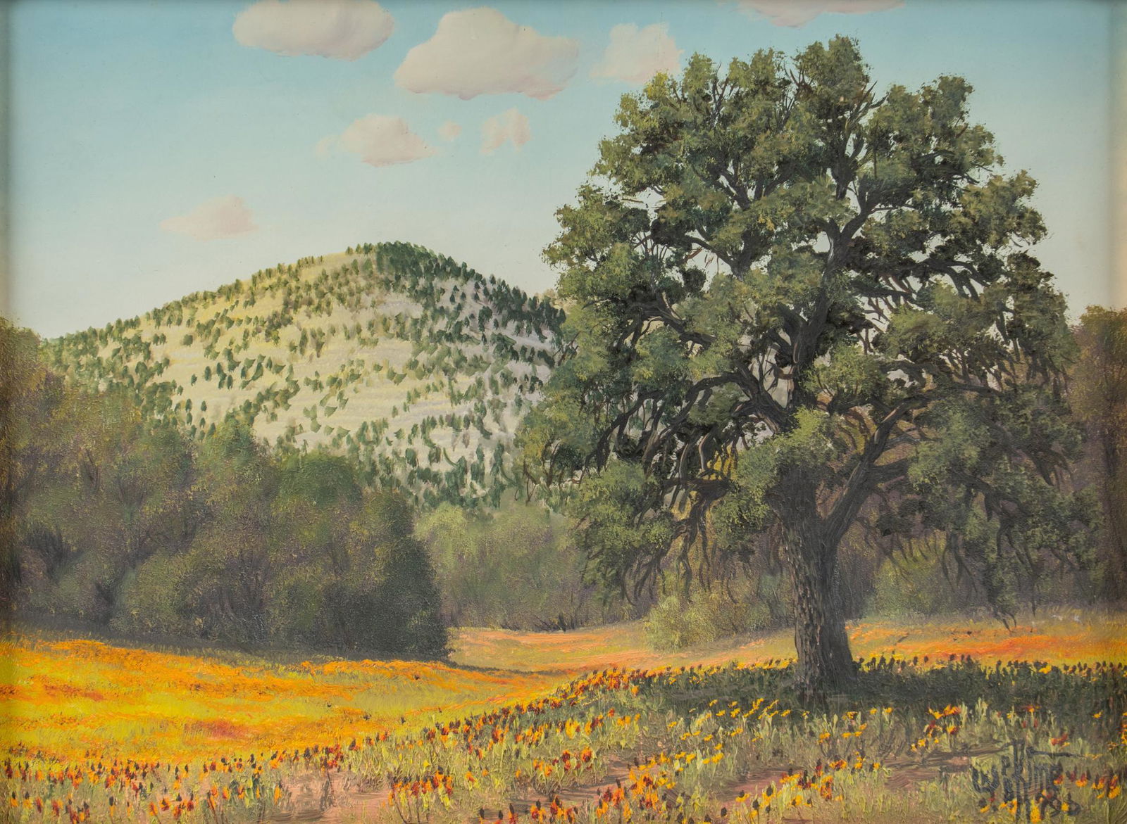 Paul B. Kime, Texas Wildflowers, 1966 Auction
