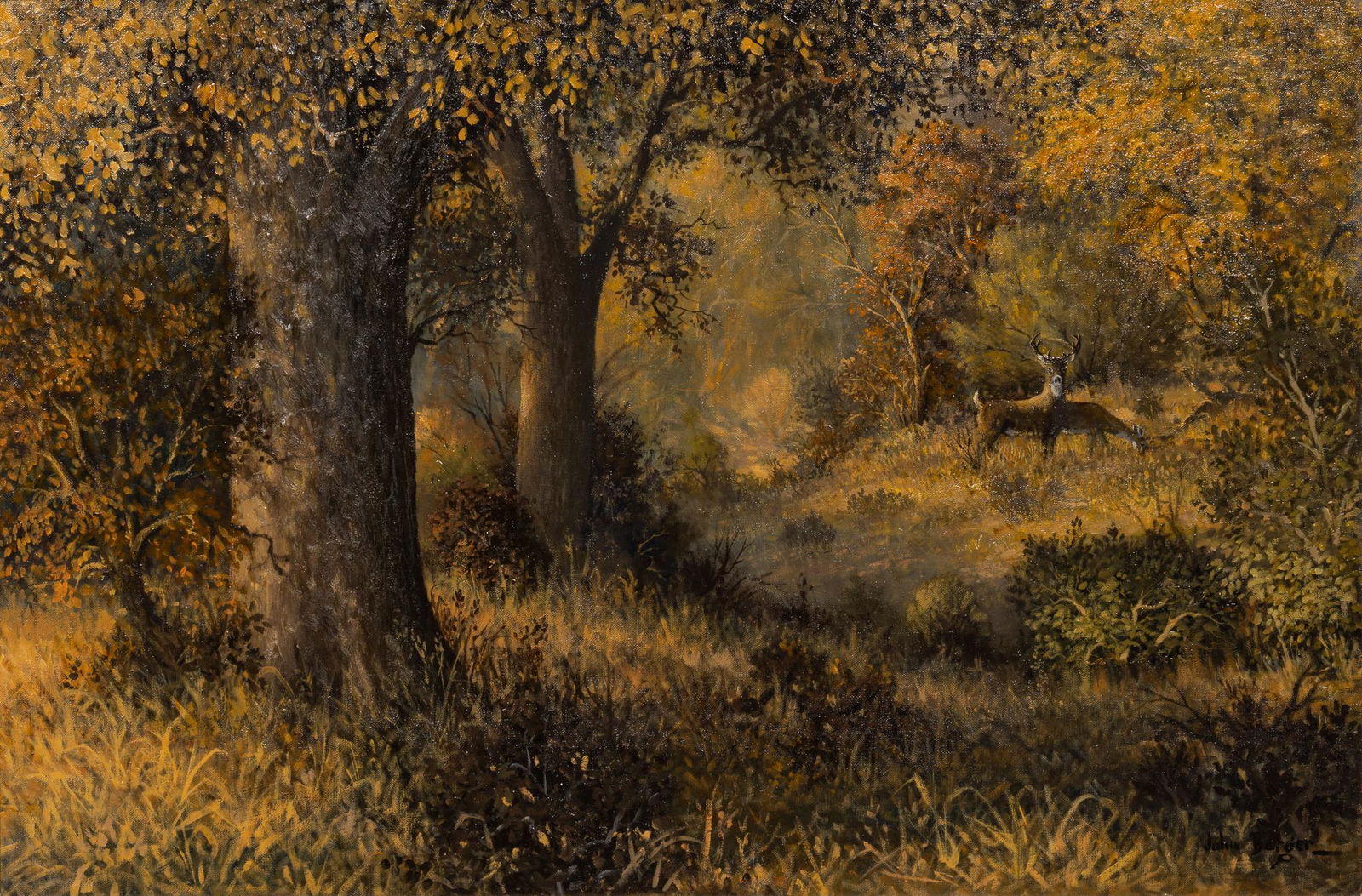 John Barger, "texas Buck...always On Guard"