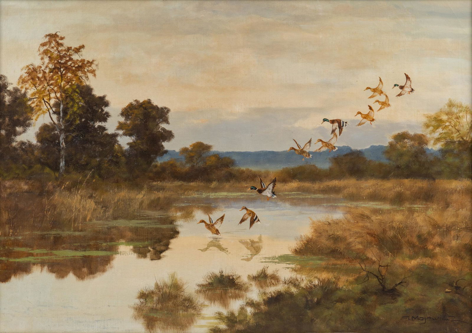 George Majewicz, Ducks In Flight
