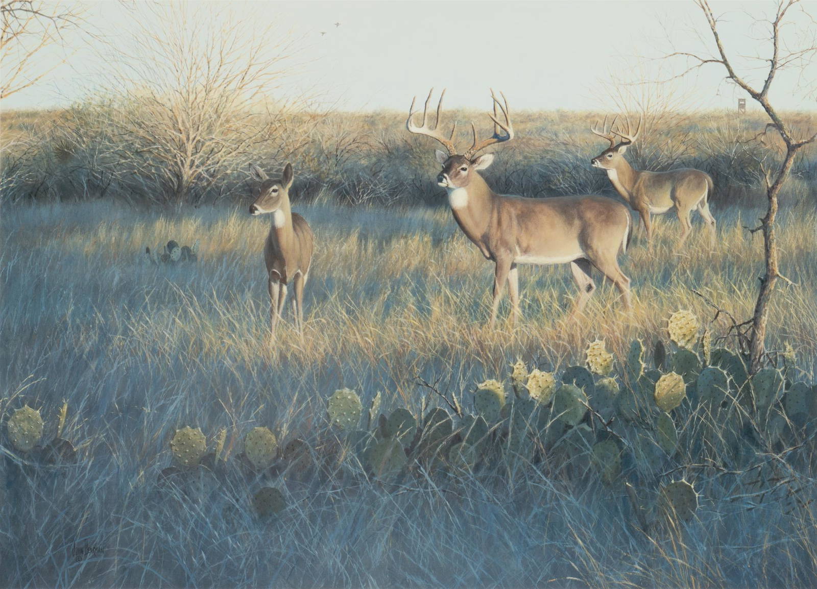 John Dearman, Deer Ap Auction